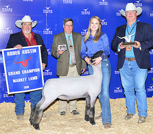 2016 Winners - Williams Show Lambs